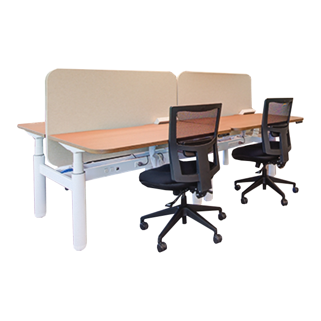 Leader Back to Back Workstation — Maxton Fox